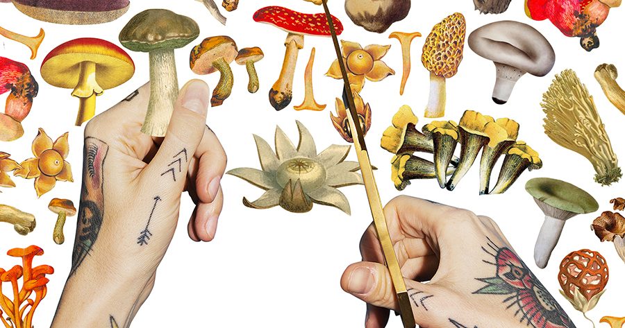 Launceston Central | Collage Forage