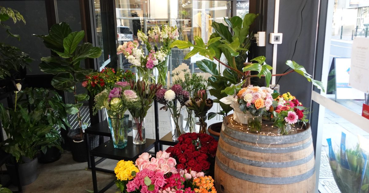 Launceston Central | The Tamar Valley Rose Shop